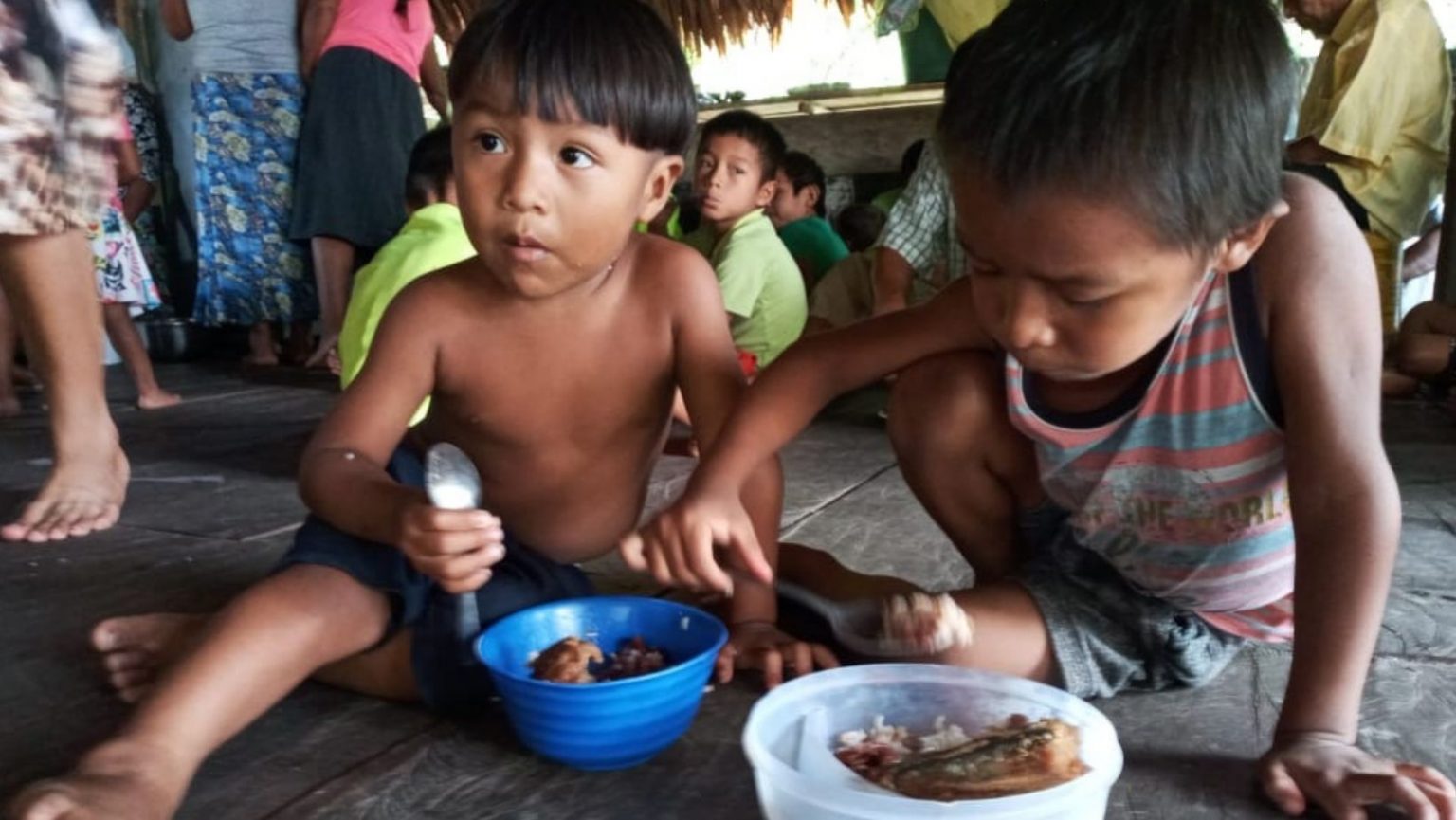 Get Involved – pinasbayconservancy.org