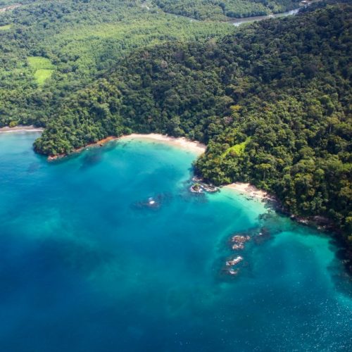 Conservation Initiative – pinasbayconservancy.org