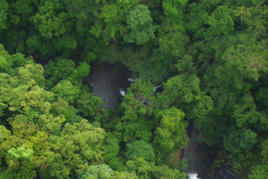 Conservation Initiative – pinasbayconservancy.org