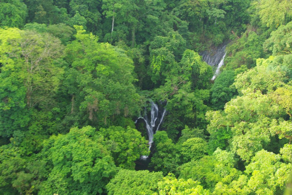 Conservation Initiative – pinasbayconservancy.org