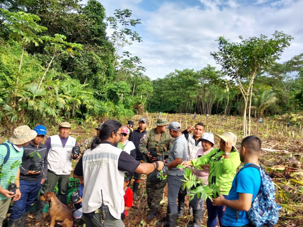 Conservation – pinasbayconservancy.org