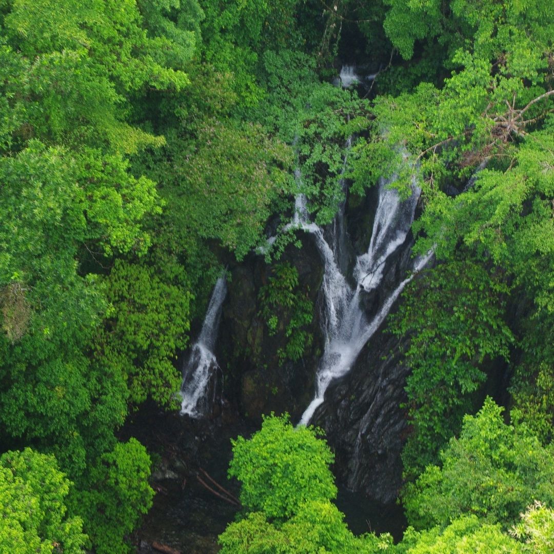 Conservation – pinasbayconservancy.org